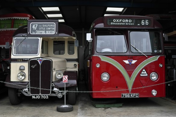 Shiny buses and spooky mannequins | mydaftlife